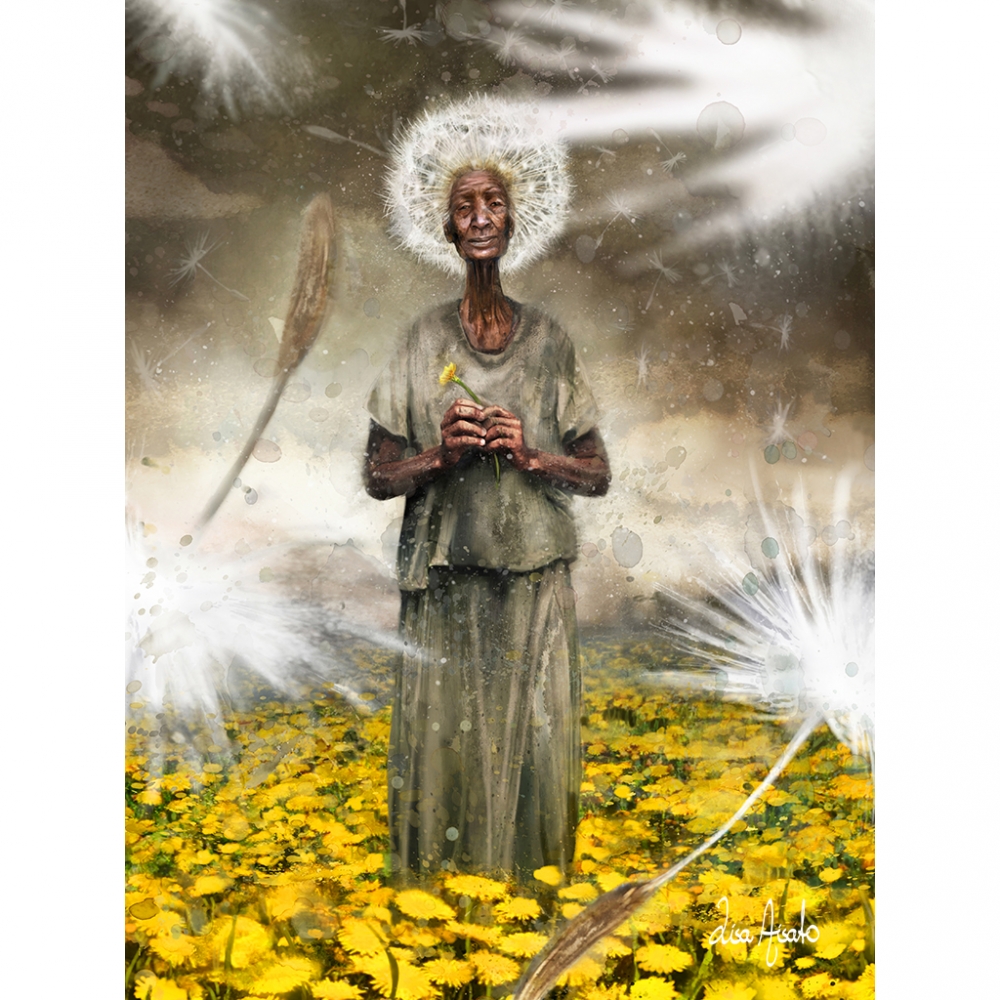 Frø til nye enger | Lisa Aisato